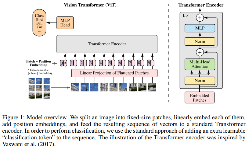 Emerging Properties in Self-Supervised Vision Transformers (DINO)